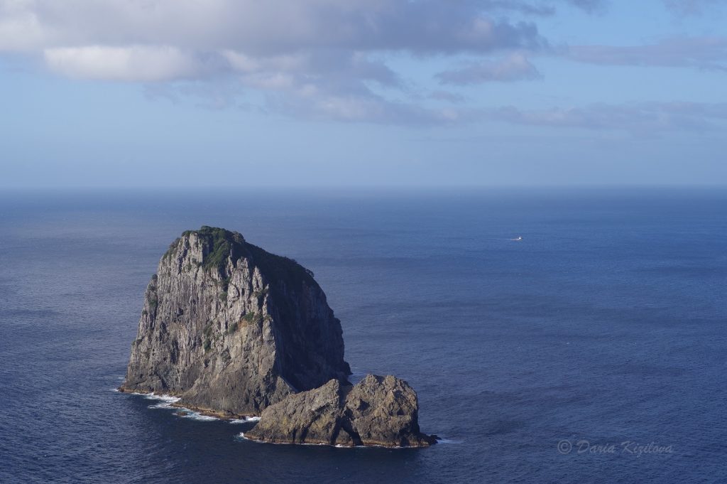 Cape Brett Track - Best Hike in New Zealand