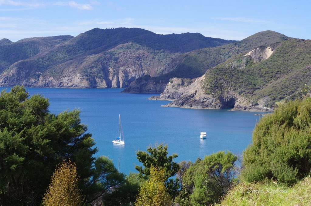 Cape Brett Track - Best Hike in New Zealand