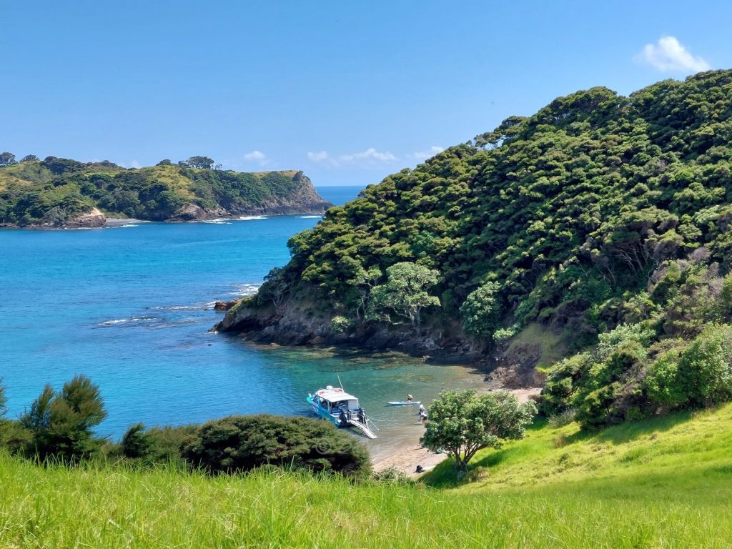 Discover Urupukapuka Island in New Zealand